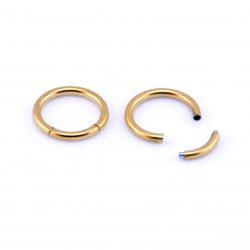 Gold Segment Ring | Vault 101 Limited - Free UK Delivery